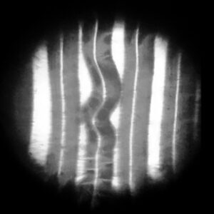 Deep Groove Mono and the Great Groove Width Mystery | Deep Groove Mono